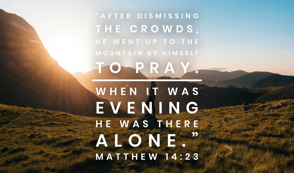 In the Sittings – Emily Rodewald